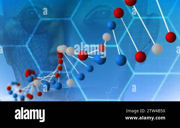 Beehive pattern Stock Videos & Footage - HD and 4K Video Clips - Alamy