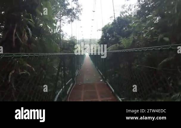 Hanging bridge rainforest Stock Videos & Footage - HD and 4K Video ...