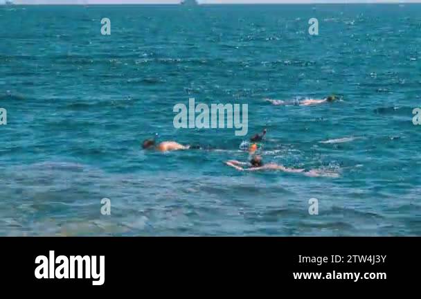 Snorkeling in the Red Sea near the Coral Reef. Egypt, Sharm El Sheikh ...