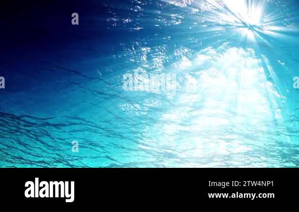 Looping animation of ocean waves from underwater with floating plankton ...
