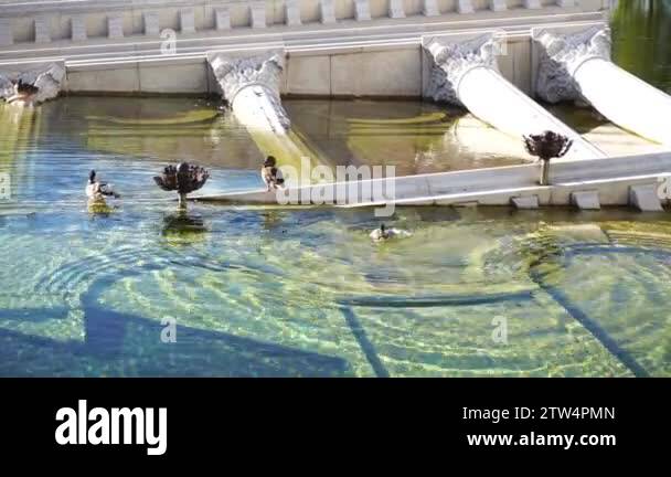 Greek bath Stock Videos & Footage - HD and 4K Video Clips - Alamy