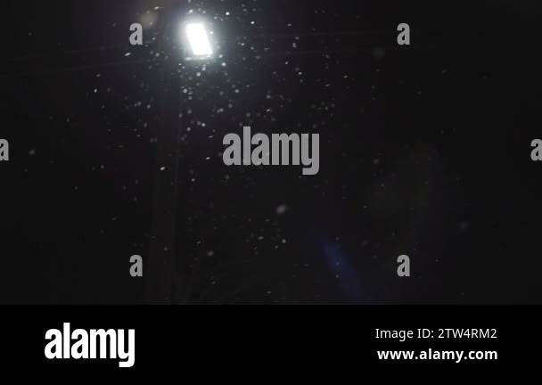 Snow falling with streetlight beams at night. Loop able snow fall ...