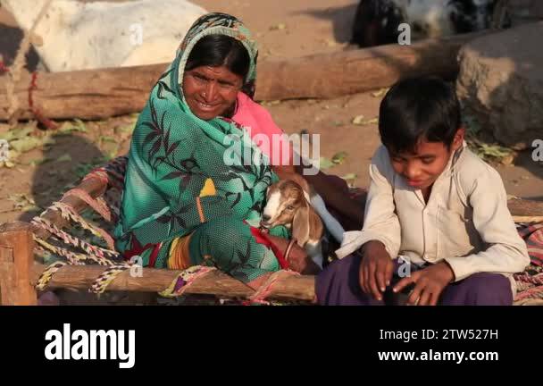 Poverty indian family Stock Videos & Footage - HD and 4K Video Clips ...