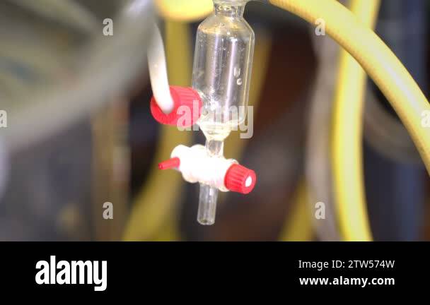Production of perfume essences by steam distillation in distillation ...