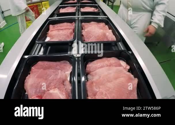 Packing Of Meat Slices In Boxes on a Conveyor Belt. Automatic Vacuum ...