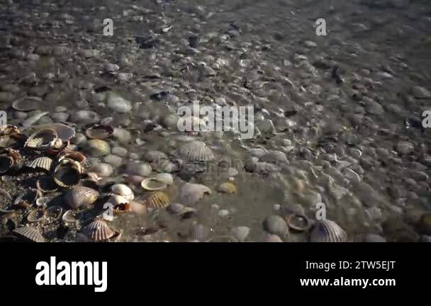 Sea water splash shell on Stock Videos & Footage - HD and 4K Video ...