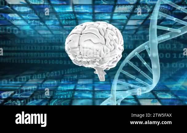 Digitally generated brain and double helix dna strand while rotating against a square pattern ...