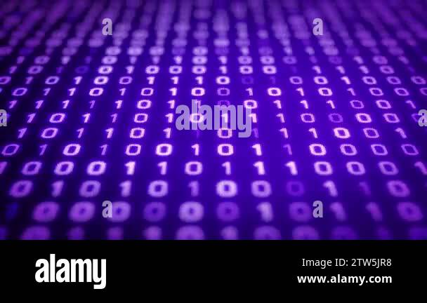Technology purple background with binary code moves downwards on ...