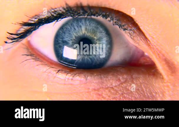Close-up. Macro Blue Female Human Eye. Pupil Cornea Iris Eyeball ...