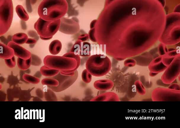 Dendric cells Stock Videos & Footage - HD and 4K Video Clips - Alamy