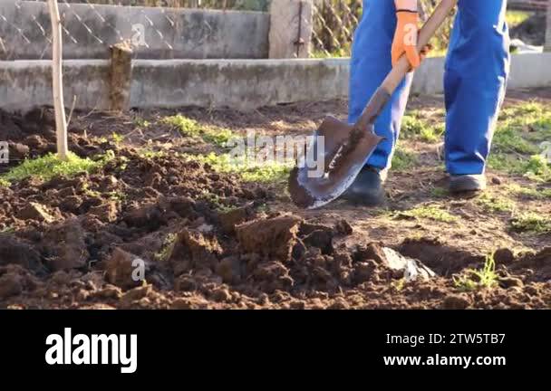 Working in the garden - digging spring soil with a scapular fork. Close ...
