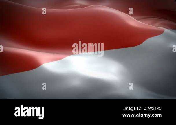 Monaco flag Motion Loop video waving in wind. Realistic Monaco Flag ...