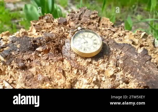 Nine o'clock Stock Videos & Footage - HD and 4K Video Clips - Alamy