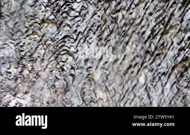 Water drop patterns Stock Videos & Footage - HD and 4K Video Clips - Alamy