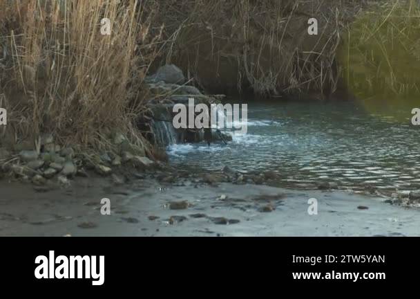 Bad environment Stock Videos & Footage - HD and 4K Video Clips - Alamy