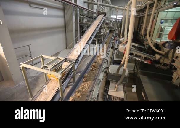 Conveyor belt on factory, Ceramic factory equipment, Transportation of ...