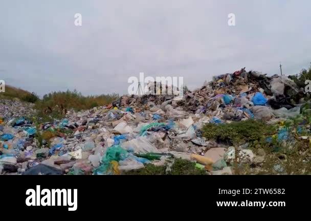 Waste ground weeds Stock Videos & Footage - HD and 4K Video Clips - Alamy