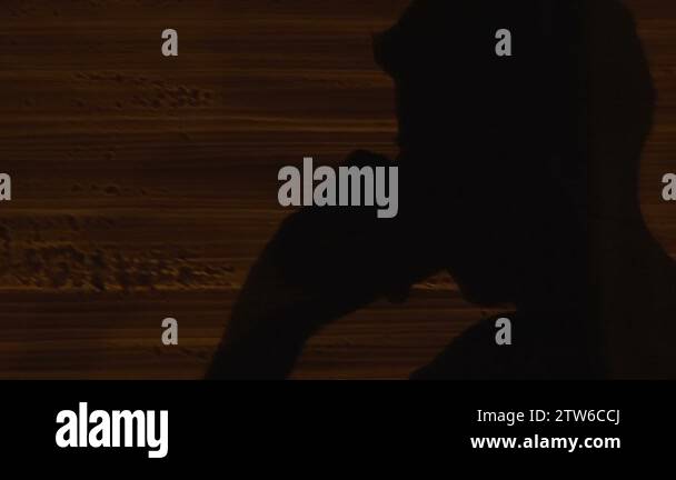 Boss shouting on male Stock Videos & Footage - HD and 4K Video Clips ...