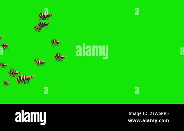 Swarm of Bees Wasps Fly Green Screen 3D Renderings Animations Insects ...