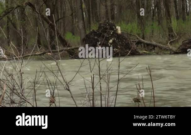 2019 floods Stock Videos & Footage - HD and 4K Video Clips - Alamy