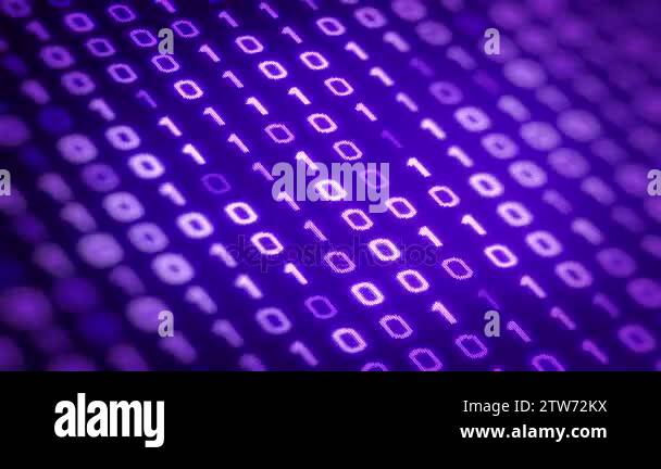 Technology purple background with binary code moves downwards on ...