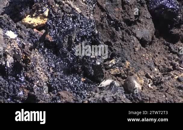 Toxic soil Stock Videos & Footage - HD and 4K Video Clips - Alamy