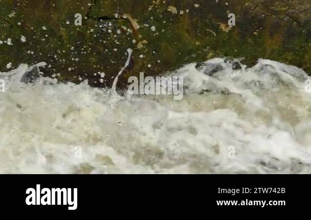 Flood queenslander house Stock Videos & Footage - HD and 4K Video Clips ...