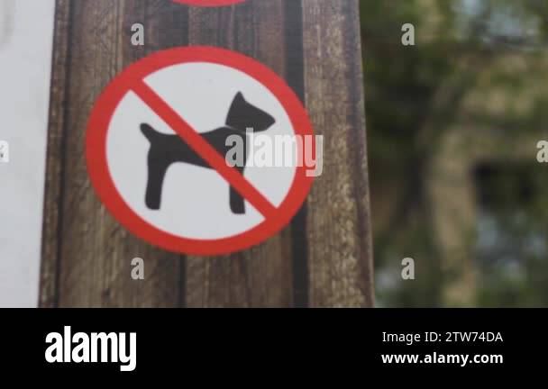 No dogs warning sign Stock Videos & Footage - HD and 4K Video Clips - Alamy
