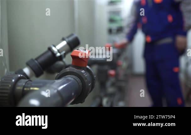 Plant decomposition Stock Videos & Footage - HD and 4K Video Clips - Alamy