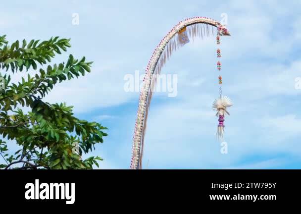 Poso park Stock Videos & Footage - HD and 4K Video Clips - Alamy