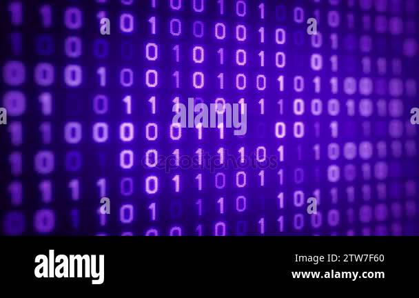 Technology purple background with animated binary code on digital ...
