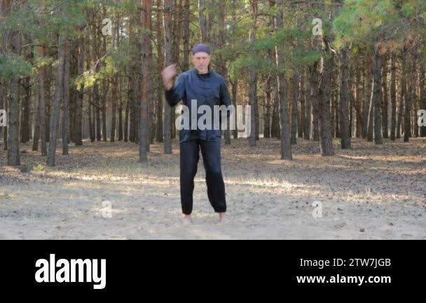 Rem Plugatar.Master of wushu,wu hsing (five elements)from Ukraine Stock ...