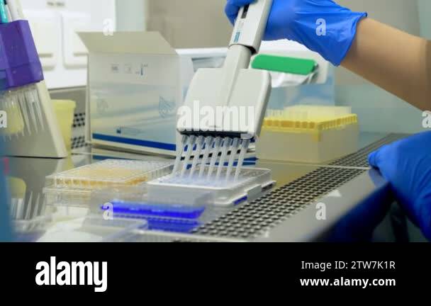 Laboratory examinations plasma samples Stock Videos & Footage - HD and ...