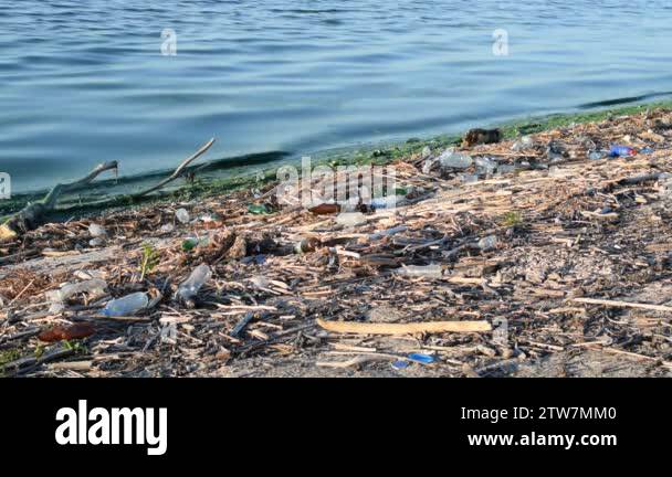 Polluted water trash on beach Stock Videos & Footage - HD and 4K Video ...