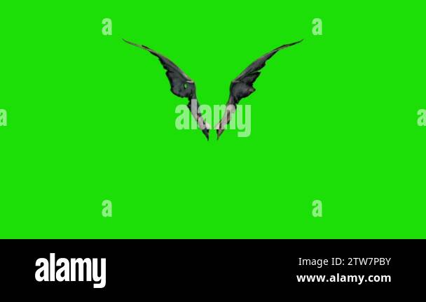 Demon Devil Wings Fast Green Screen 3D Renderings Animations Stock ...