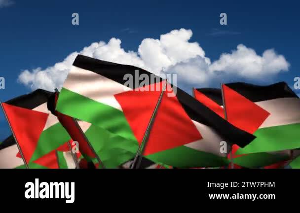 Palestinian flag palestinian flags Stock Videos & Footage - HD and 4K ...