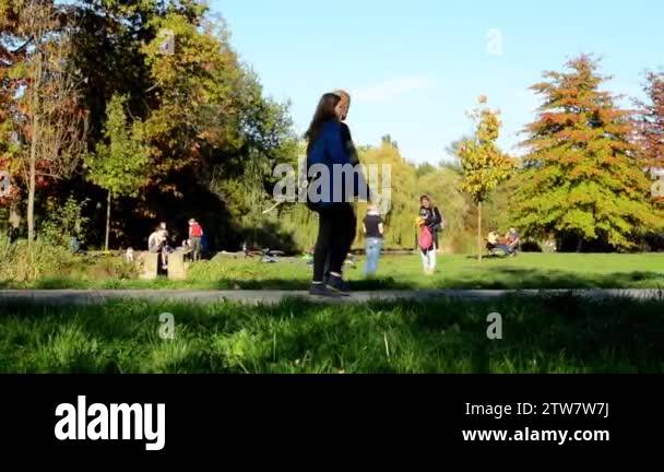 People walking forest scene trees nature pathway Stock Videos & Footage ...