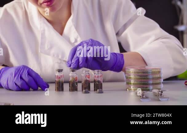 Close up scientists hands Stock Videos & Footage - HD and 4K Video ...