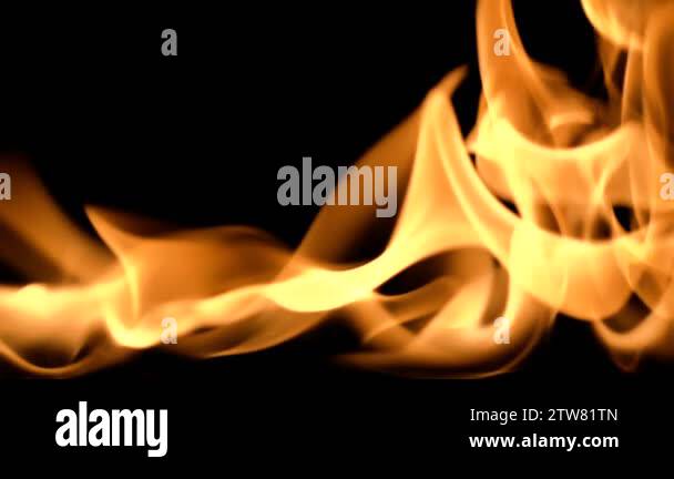 Slow movement of clean fire, igniting and burning. On a black ...