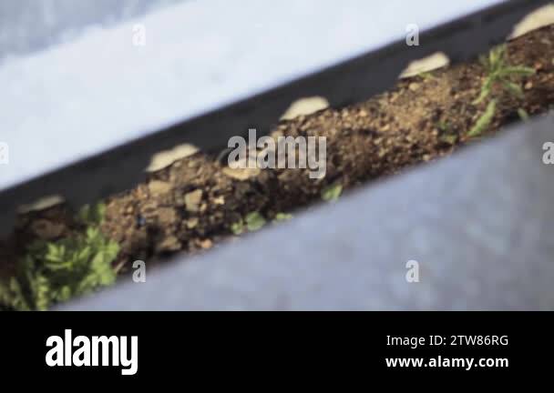 Platform safety Stock Videos & Footage - HD and 4K Video Clips - Alamy