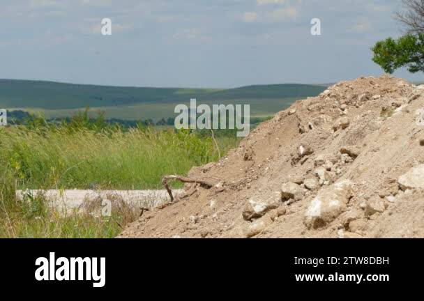 Ditch fosse house Stock Videos & Footage - HD and 4K Video Clips - Alamy