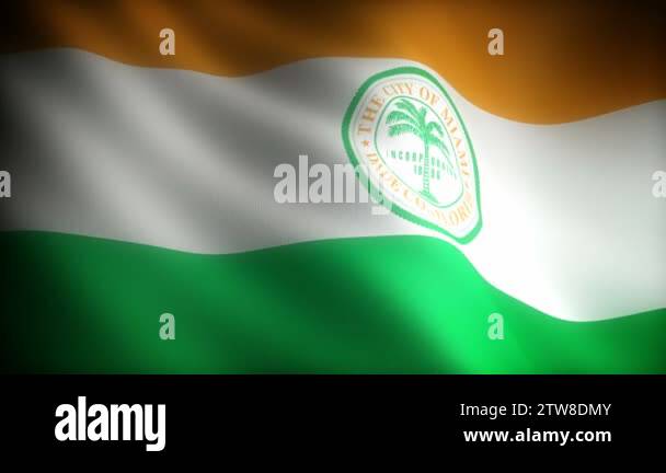 Miami florida flag Stock Videos & Footage - HD and 4K Video Clips - Alamy