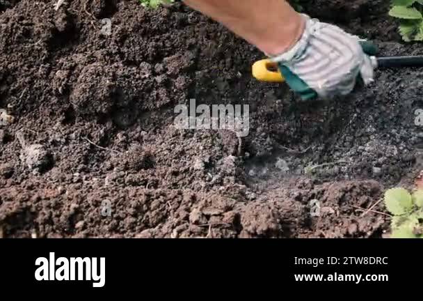 Raking soil gardener uses Stock Videos & Footage - HD and 4K Video ...