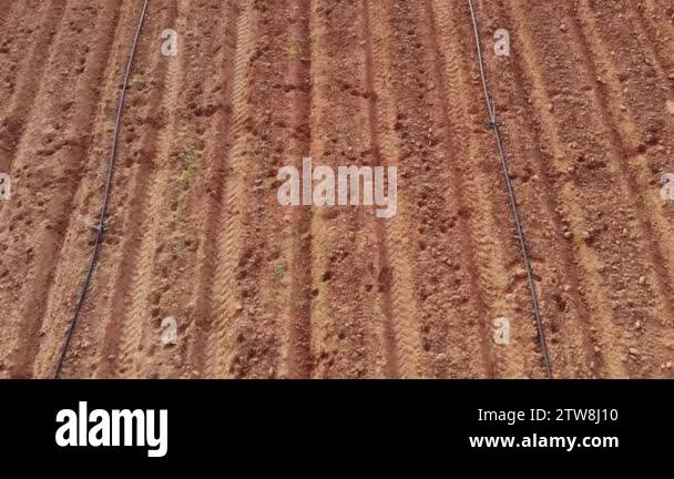 Irrigation system in Israel system of plastic pipes and nozzles for ...