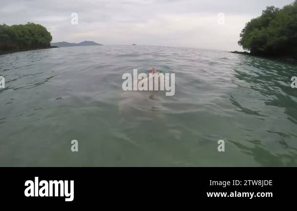 Bikini jumping out Stock Videos & Footage - HD and 4K Video Clips - Alamy