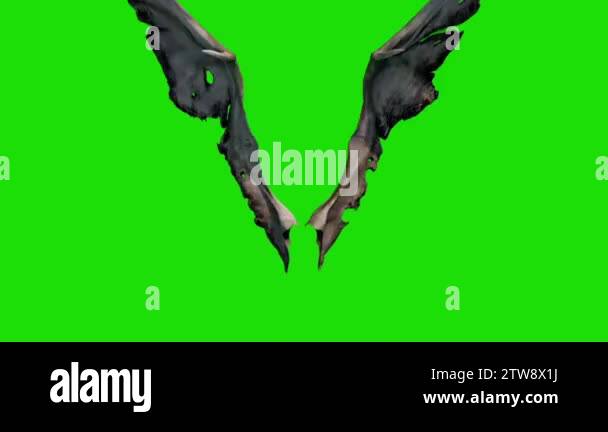 Demon Devil Wings Fast Green Screen Front 3D Renderings Animations ...
