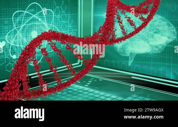 Digitally generated animation of DNA double helix rotating with background of digital brain and ...