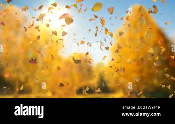 Autumn Fall Leaves Sideways // 4k Realistic Falling Leaves Video ...