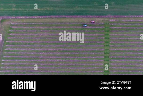 Sulfur dust Stock Videos & Footage - HD and 4K Video Clips - Alamy