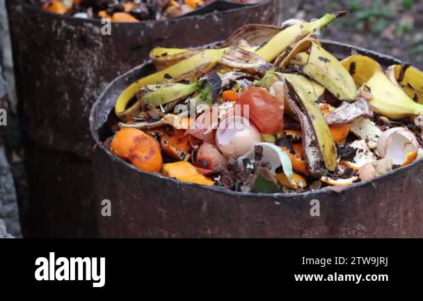 Home composting box Stock Videos & Footage - HD and 4K Video Clips - Alamy